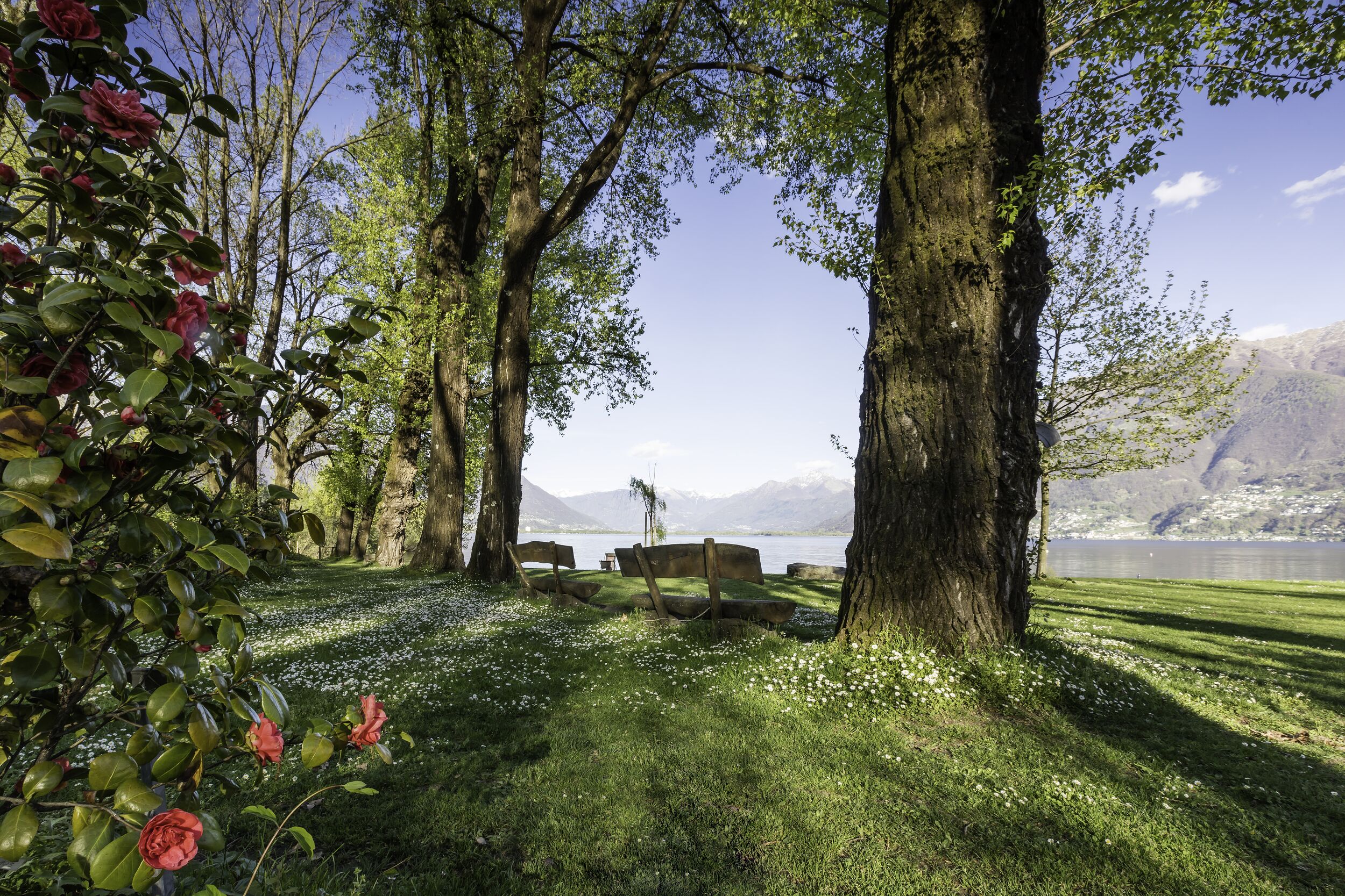 PRIMAVERA IN TICINO – Italiavola & Travel